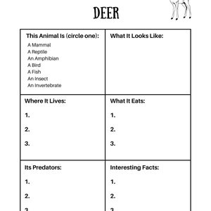 The Wild Robot Book Companion Mini Unit - Etsy