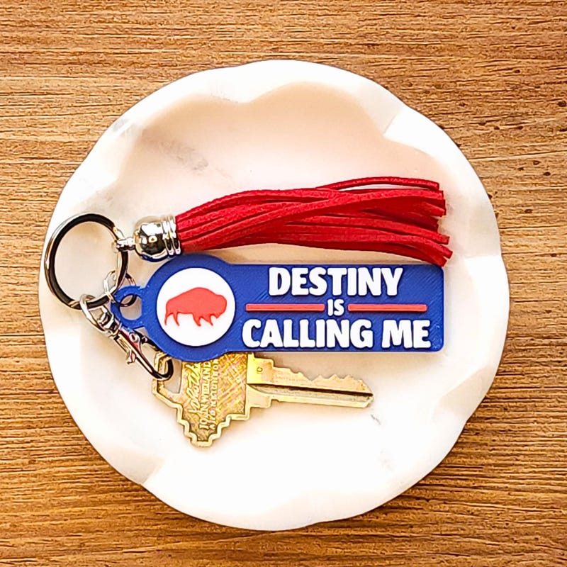 Destiny - Etsy