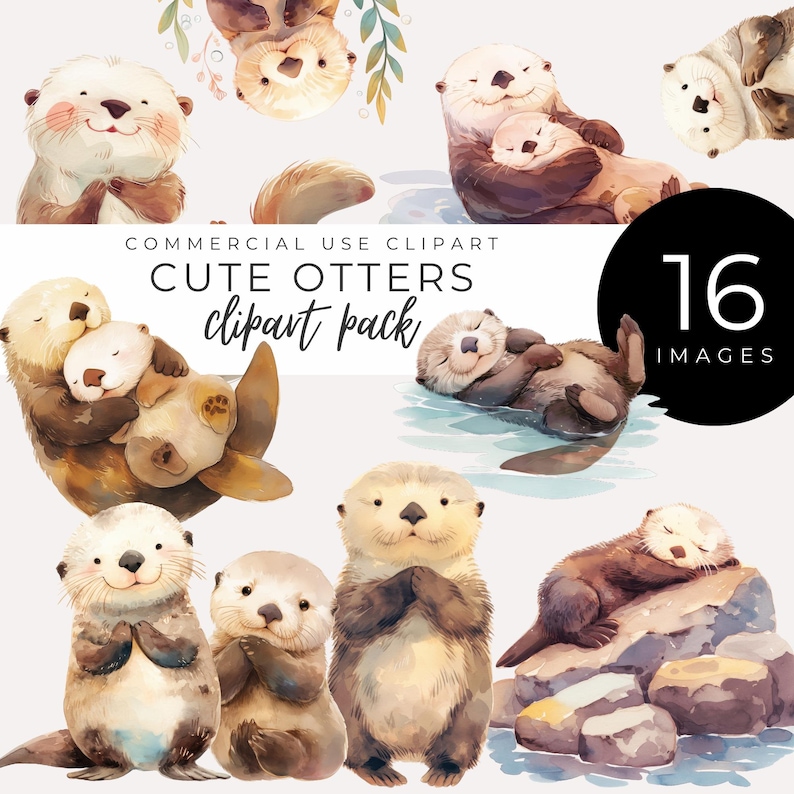Sea Otter Clipart Pack INSTANT DOWNLOAD Watercolor Marine Animal ...