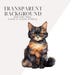 Tortoiseshell Cat Png Instant Download Adorable Watercolor Feline ...