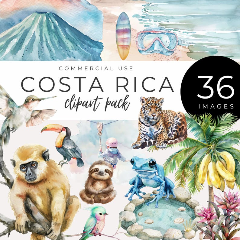 Costa Rica Clipart INSTANT DOWNLOAD Watercolor Wildlife, Birds, Jungle ...