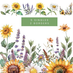 Sunflower Watercolor & Floral Designs Collection INSTANT DOWNLOAD ...