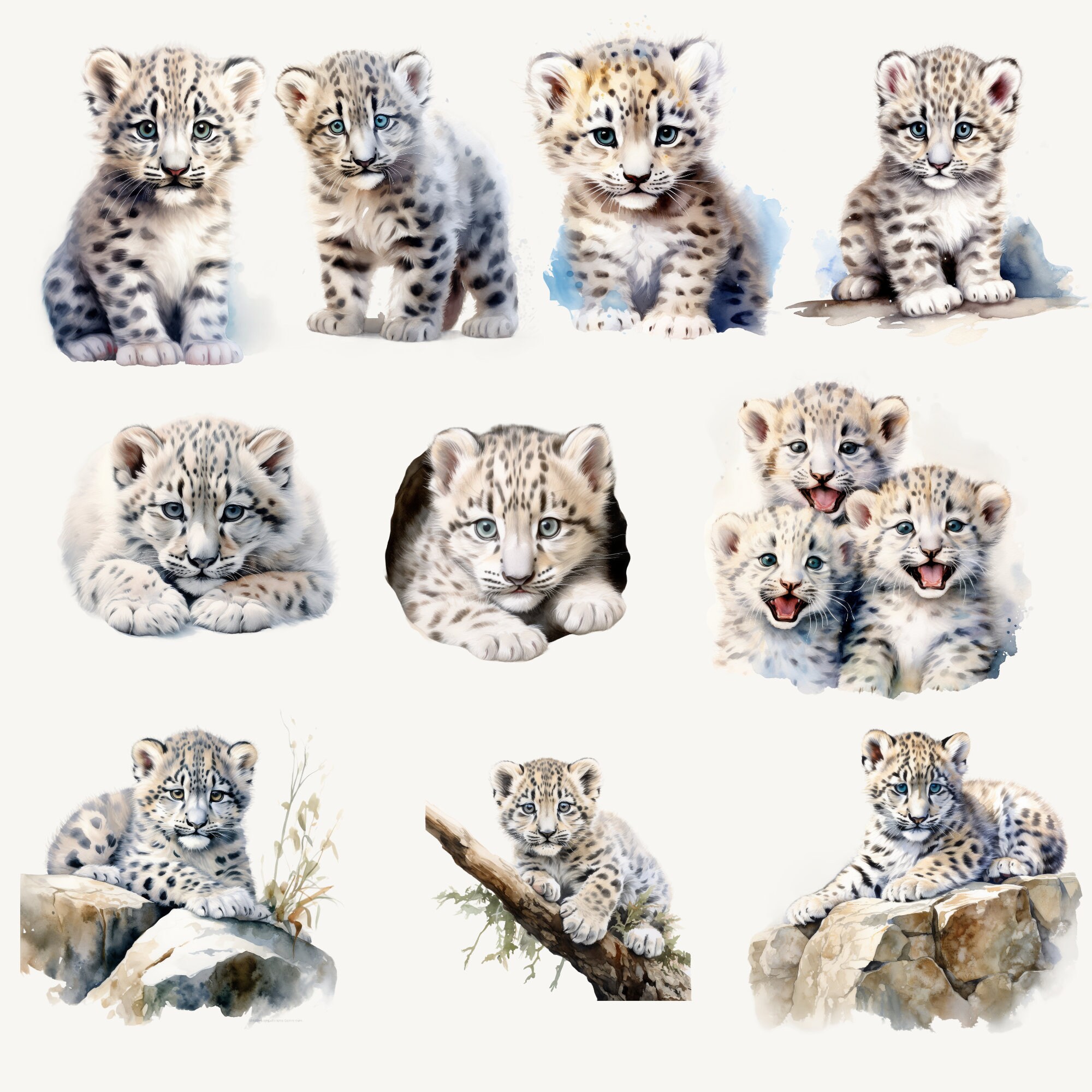 Watercolor Snow Leopard Clipart Pack INSTANT DOWNLOAD, Cute Baby Snow ...