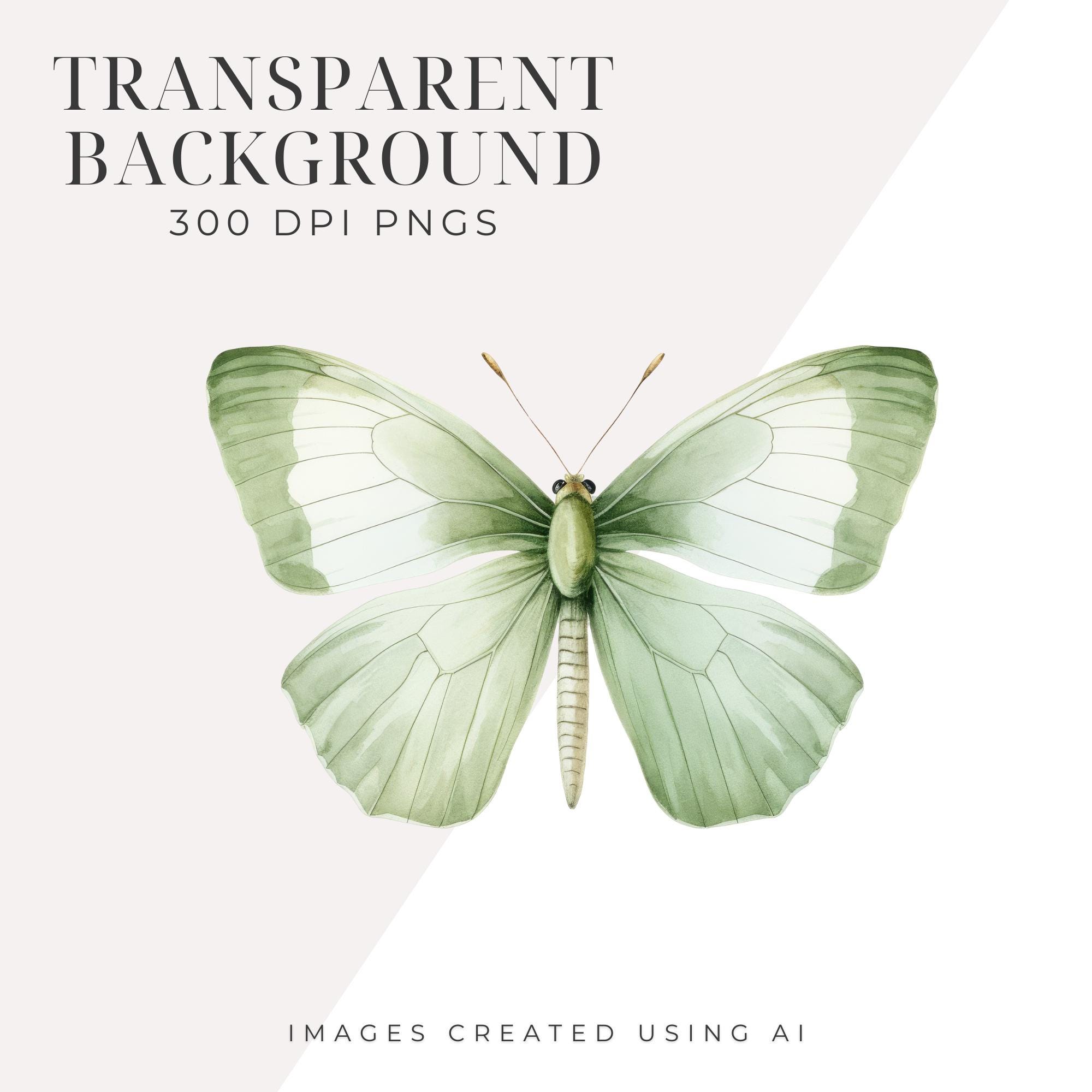 Sage Green Butterfly Clipart INSTANT DOWNLOAD Pastel Insects & Bugs ...