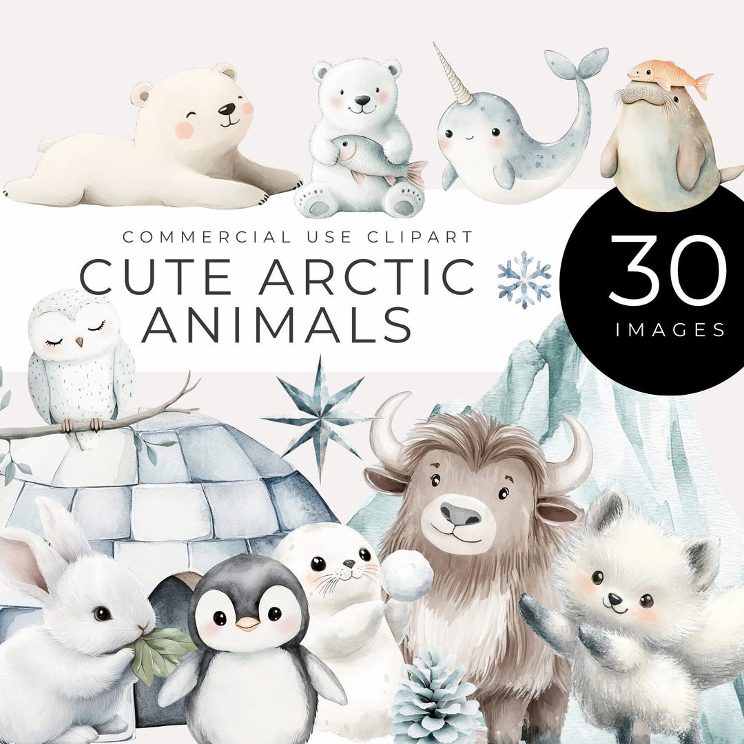 Arctic Animals Clipart INSTANT DOWNLOAD Watercolor Polar Bear, Penguin ...