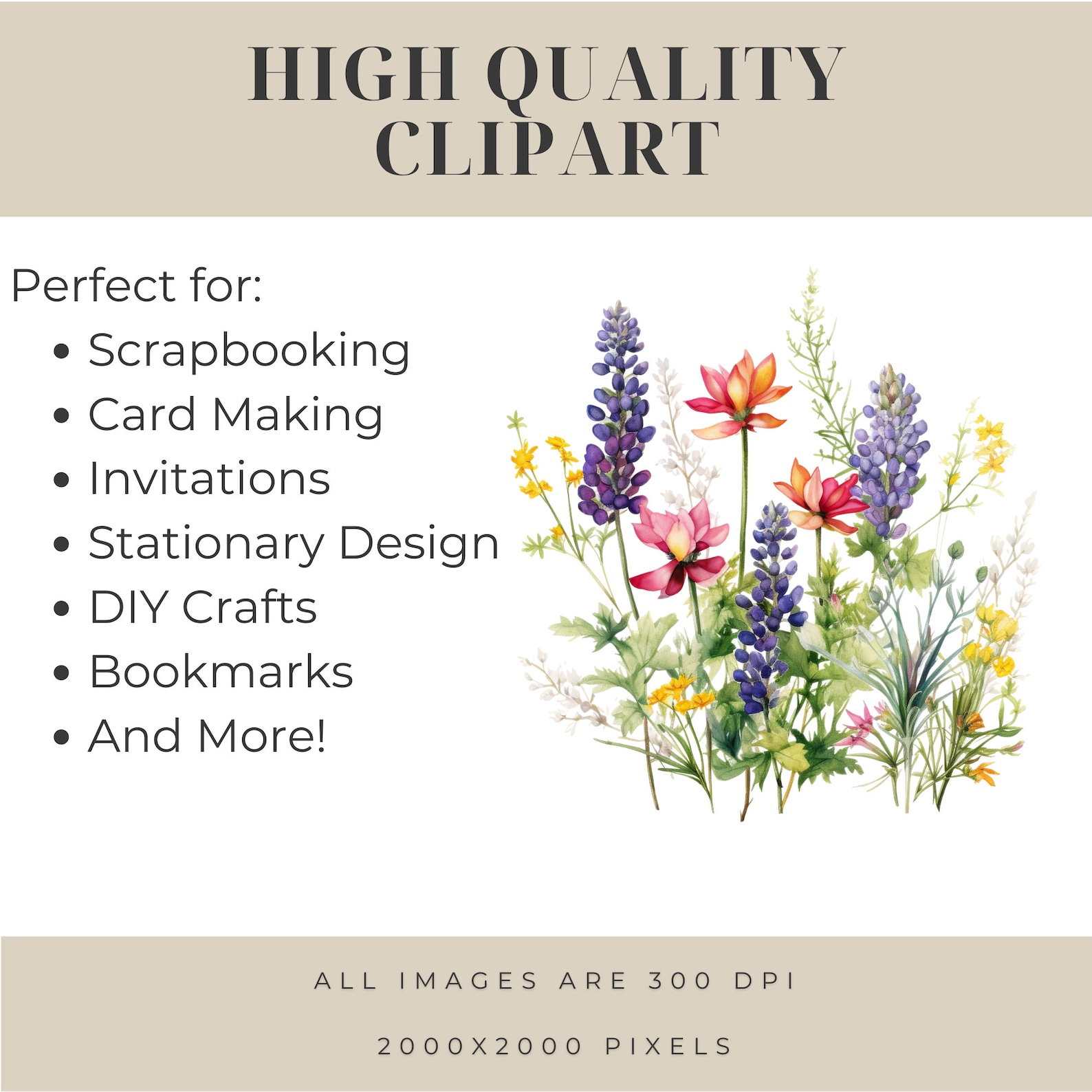 Watercolor Texas Wildflowers Clipart INSTANT DIGITAL DOWNLOAD ...