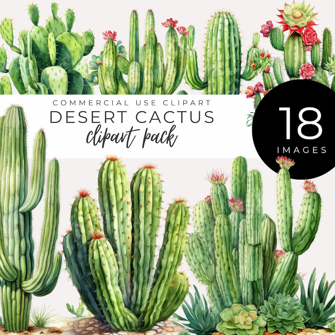 Watercolor Desert Cactus Clipart INSTANT DOWNLOAD Cacti Illustrations ...