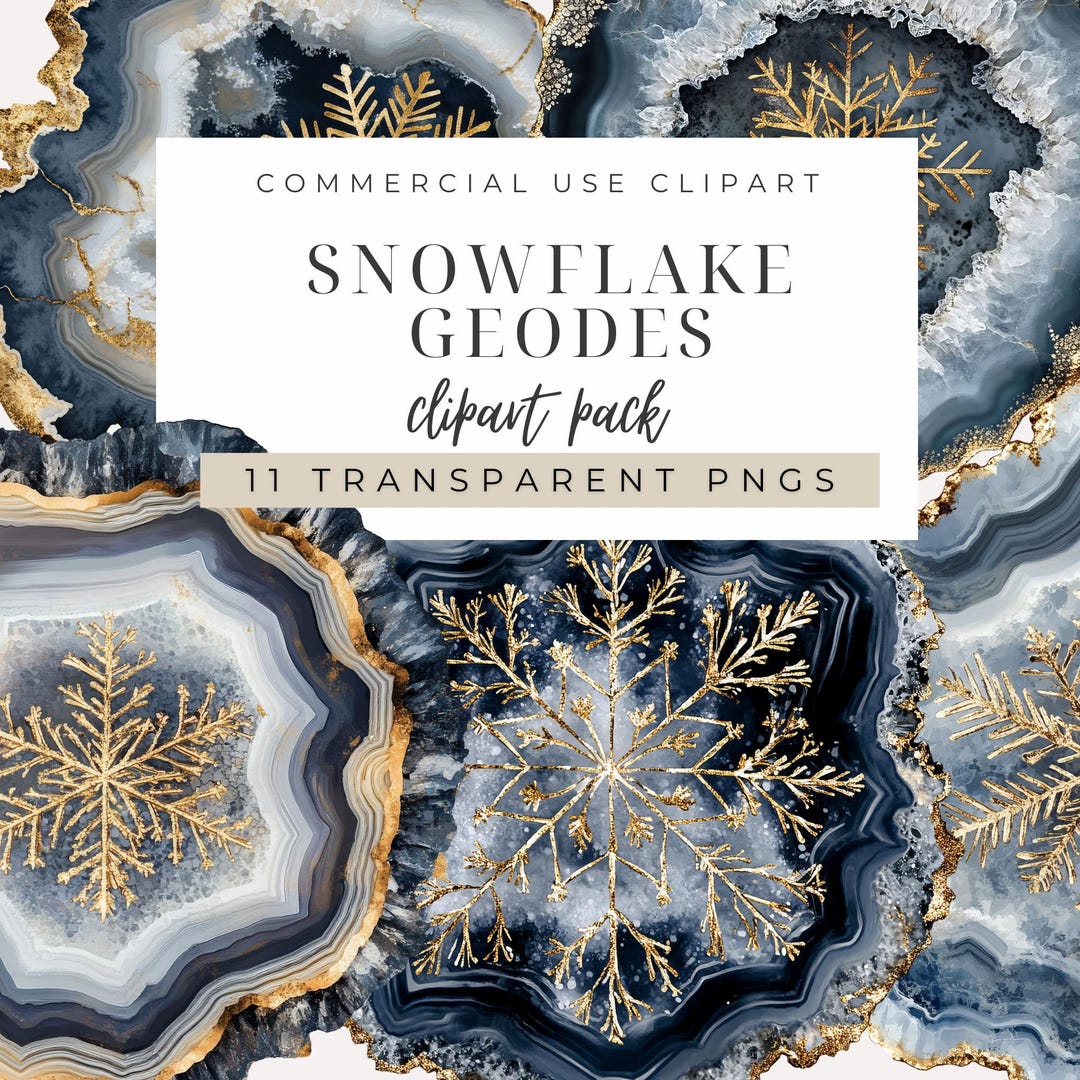 Winter Snowflake Geode Clipart INSTANT DOWNLOAD Sophisticated ...