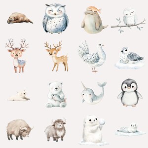 Arctic Animals Clipart INSTANT DOWNLOAD Watercolor Polar Bear, Penguin ...
