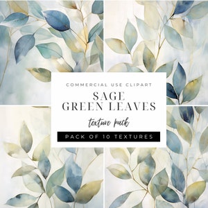 Sage Green Leaves: Eucalyptus Leaf Texture Pack INSTANT DOWNLOAD ...