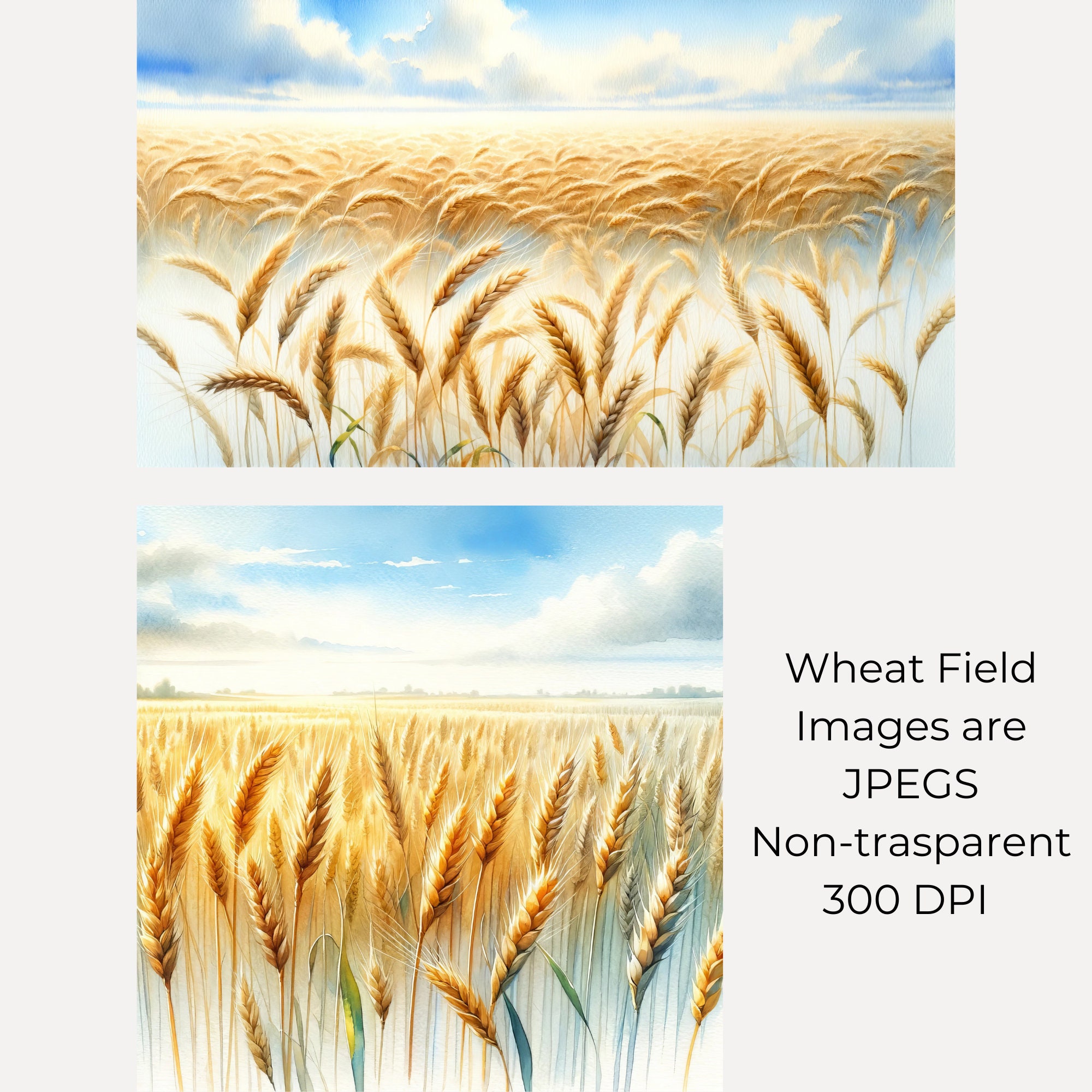 Wheat Field Clipart INSTANT DOWNLOAD Rustic High-quality Watercolor ...