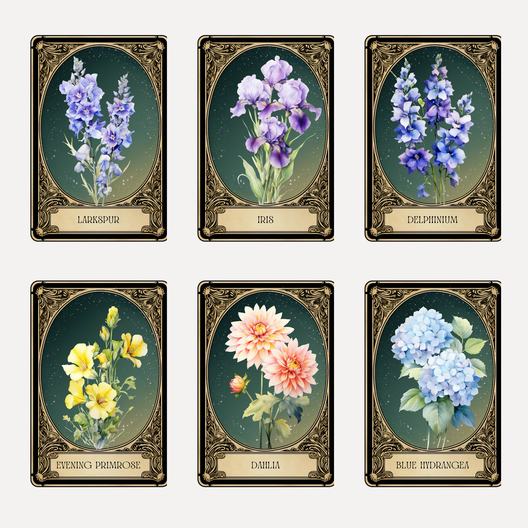 Seed Packet Clipart INSTANT DOWNLOAD Vintage Flower Illustrations ...