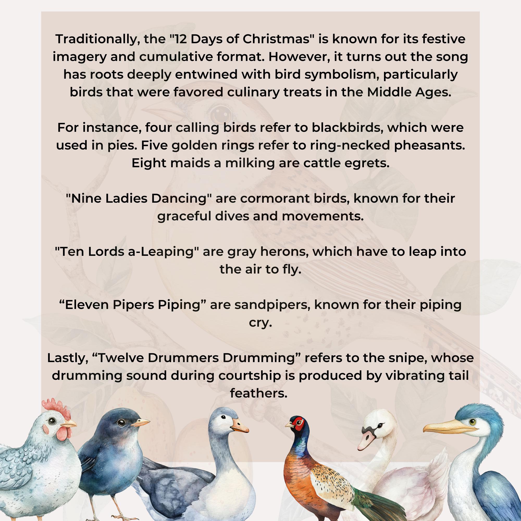 12 Days of Christmas Clipart INSTANT DOWBLOAD Watercolor Historical ...