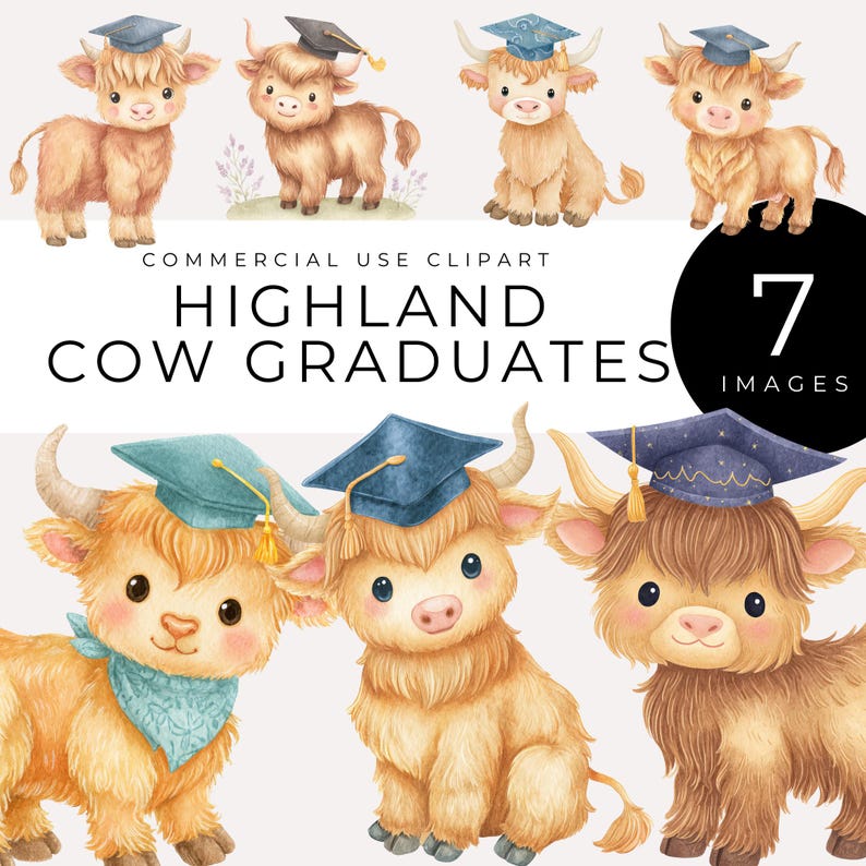 Highland Cow Graduation Clipart, Instant Download, Cute Baby Cow ...
