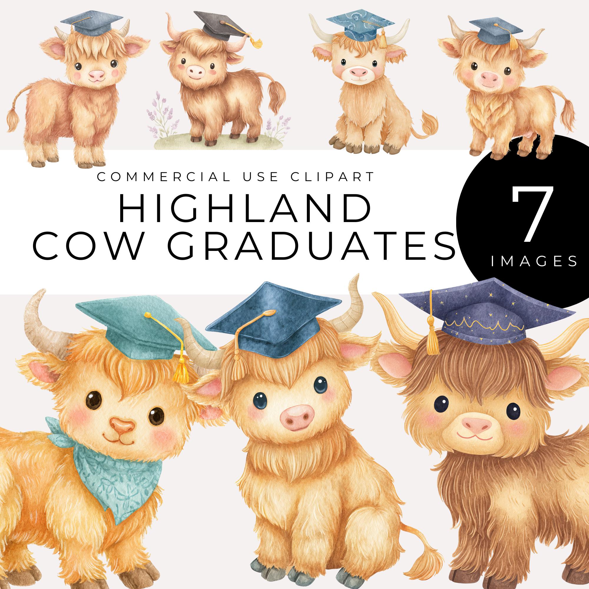 Highland Cow Graduation Clipart, Instant Download, Cute Baby Cow ...