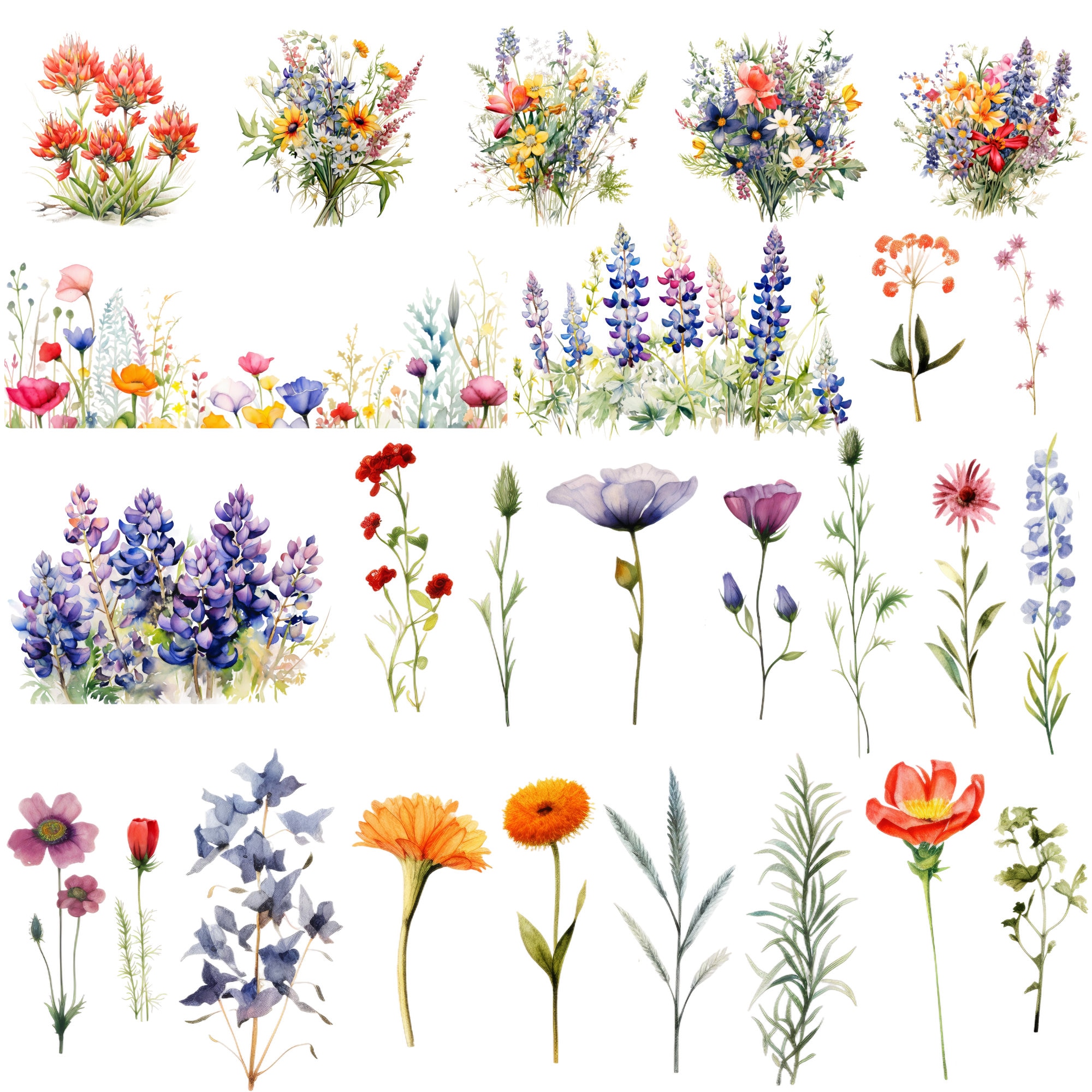 Watercolor Texas Wildflowers Clipart INSTANT DIGITAL DOWNLOAD ...