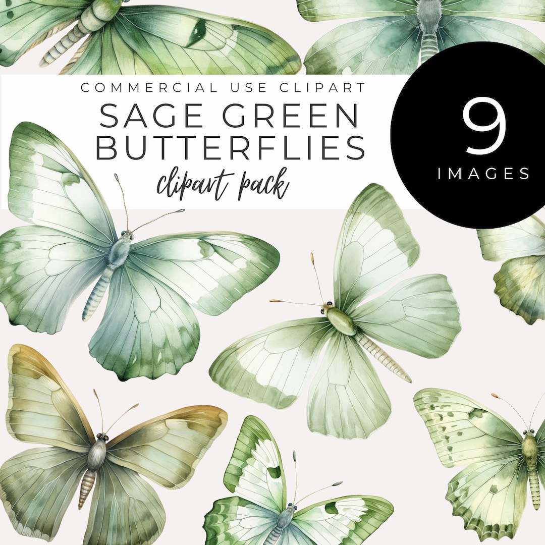 Sage Green Butterfly Clipart INSTANT DOWNLOAD Pastel Insects & Bugs ...