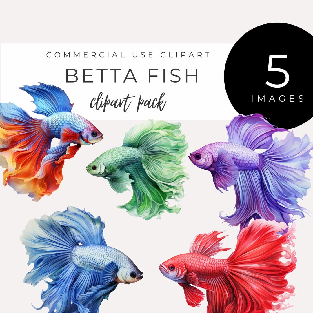 Betta Fish Clipart Pack INSTANT DOWNLOAD Red, Green, Blue, Purple ...