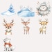 Winter Fauna Clipart INSTANT DOWNLOAD Woodland & Arctic Animal ...