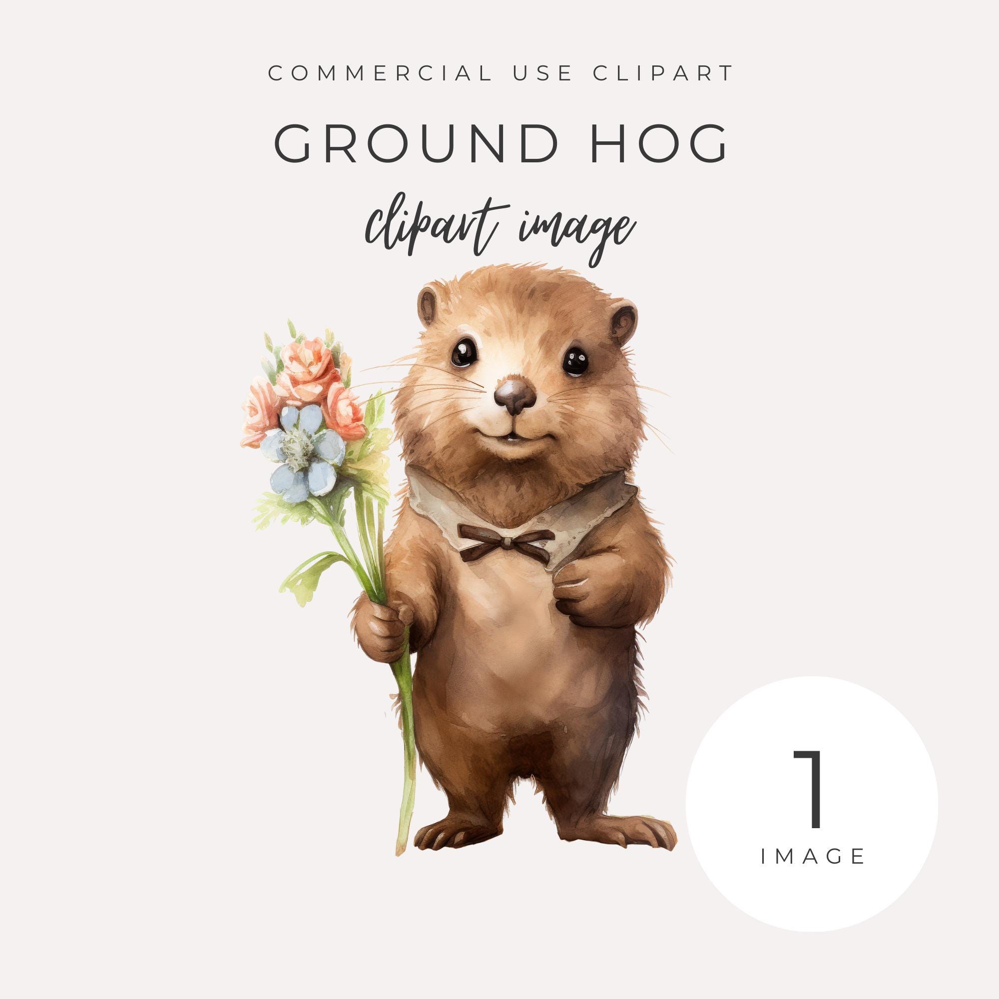 Ground Hog Clip Art INSTANT DOWNLOAD Cute Groundhog Animal Clipart With ...