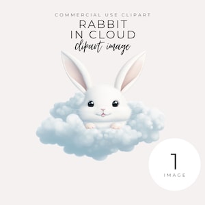 Rabbit in Cloud Clipart INSTANT DOWNLOAD Cute Baby Animal Graphic ...