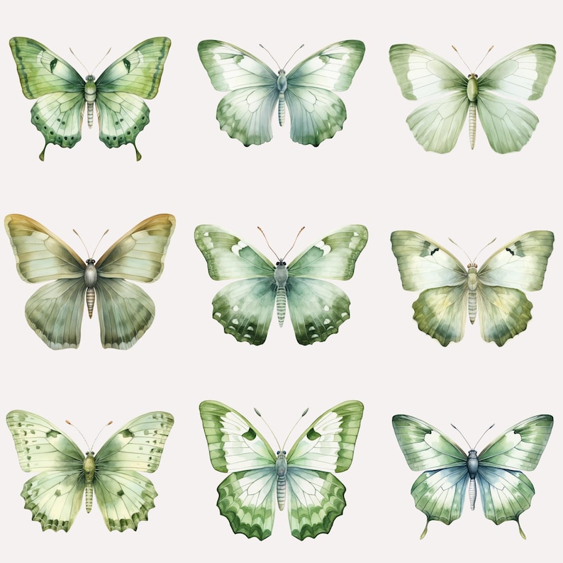 Sage Green Butterfly Clipart INSTANT DOWNLOAD Pastel Insects & Bugs ...
