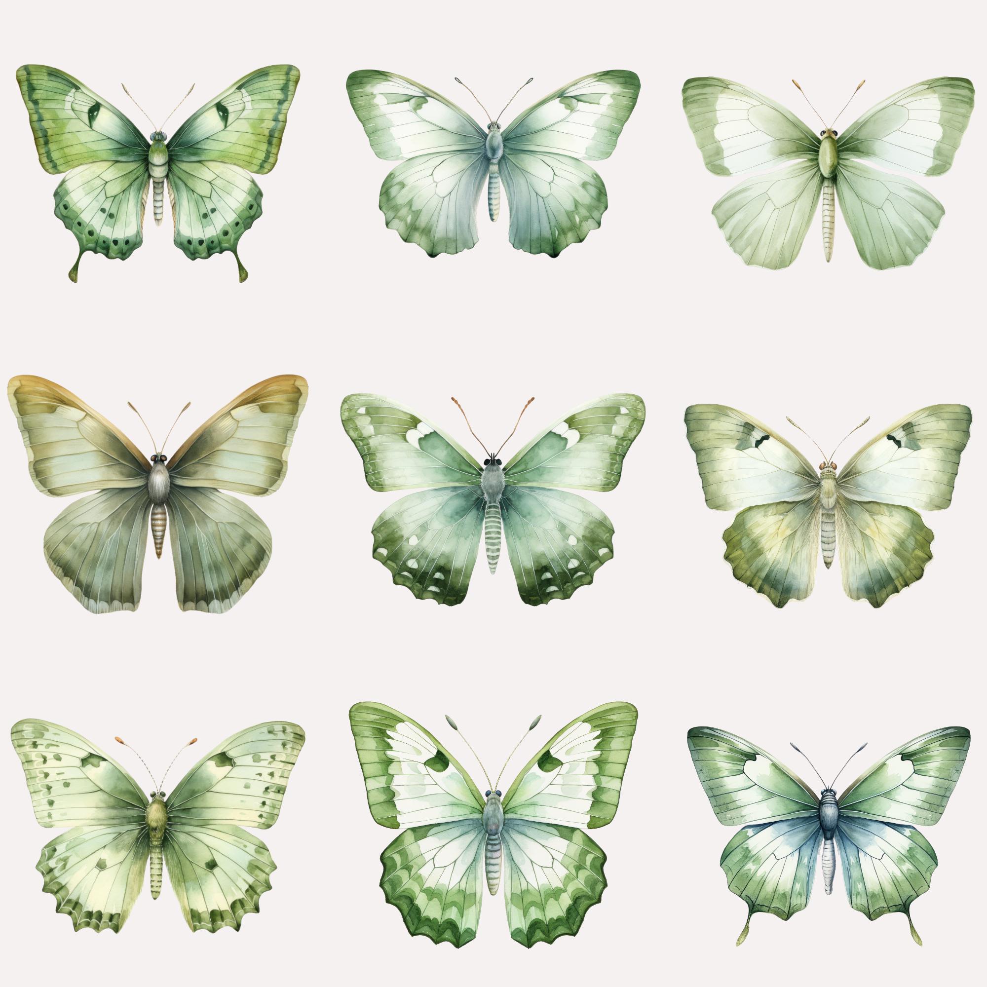 Sage Green Butterfly Clipart INSTANT DOWNLOAD Pastel Insects & Bugs ...