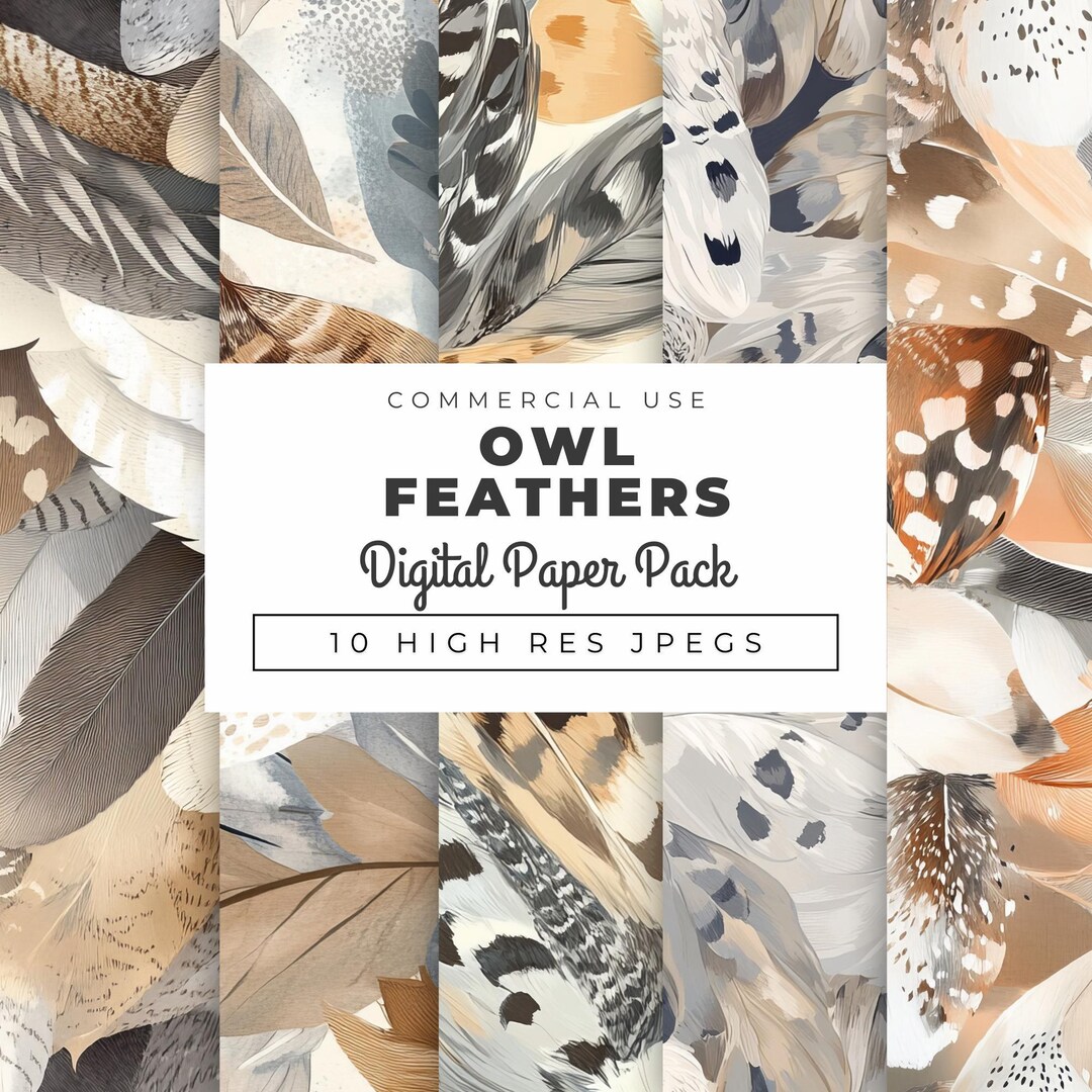 Seamless Owl Feather Digital Papers, Instant Download, Boho Woodland ...