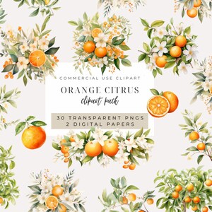 Citrus & Berry Fruit Clipart Bundle, Instant Download, Lemons, Limes ...