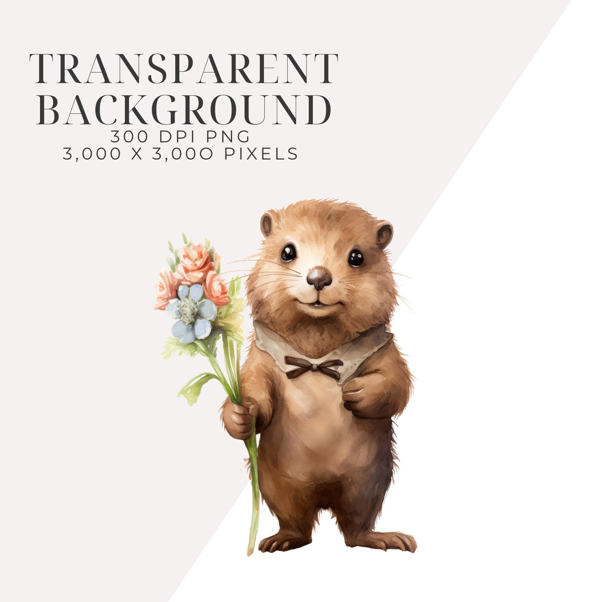 Ground Hog Clip Art INSTANT DOWNLOAD Cute Groundhog Animal Clipart With ...