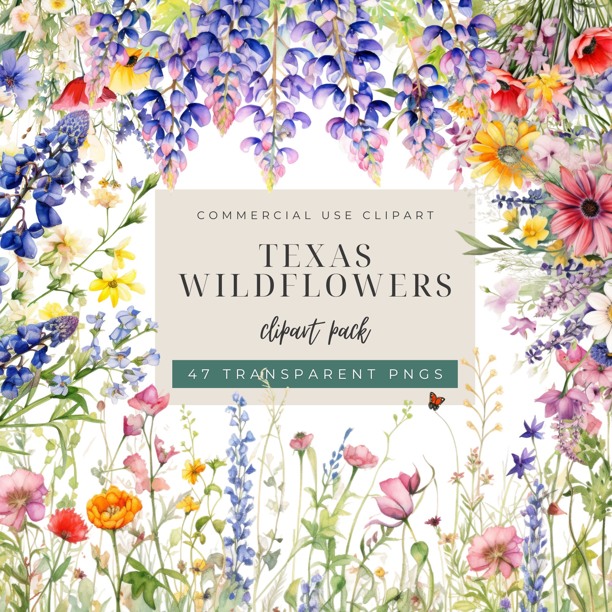 Watercolor Texas Wildflowers Clipart INSTANT DIGITAL DOWNLOAD ...