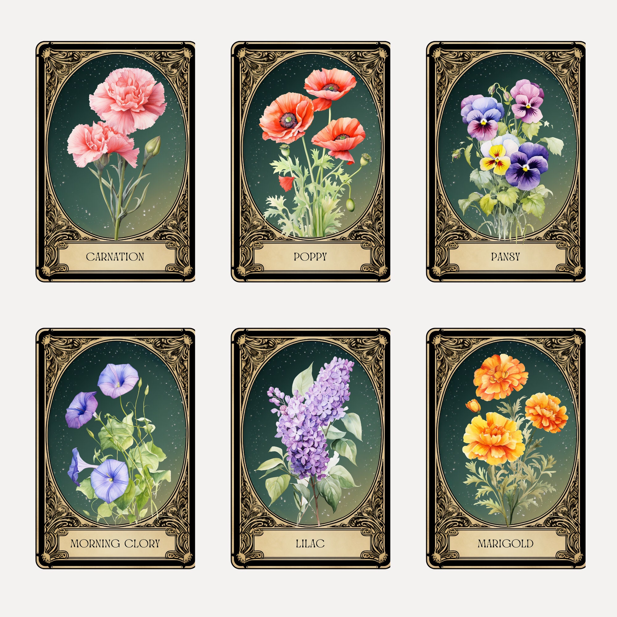 Seed Packet Clipart INSTANT DOWNLOAD Vintage Flower Illustrations ...