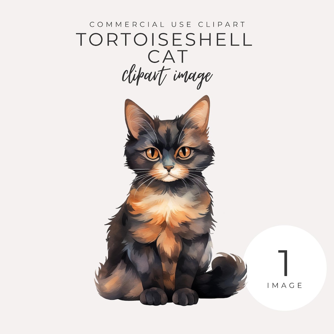 Tortoiseshell Cat Png Instant Download Adorable Watercolor Feline ...