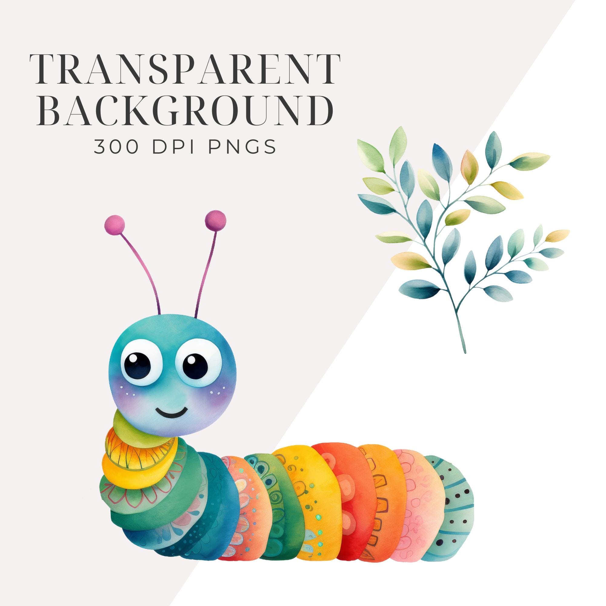 Watercolor Caterpillar Clipart INSTANT DOWNLOAD Cute Bug and ...