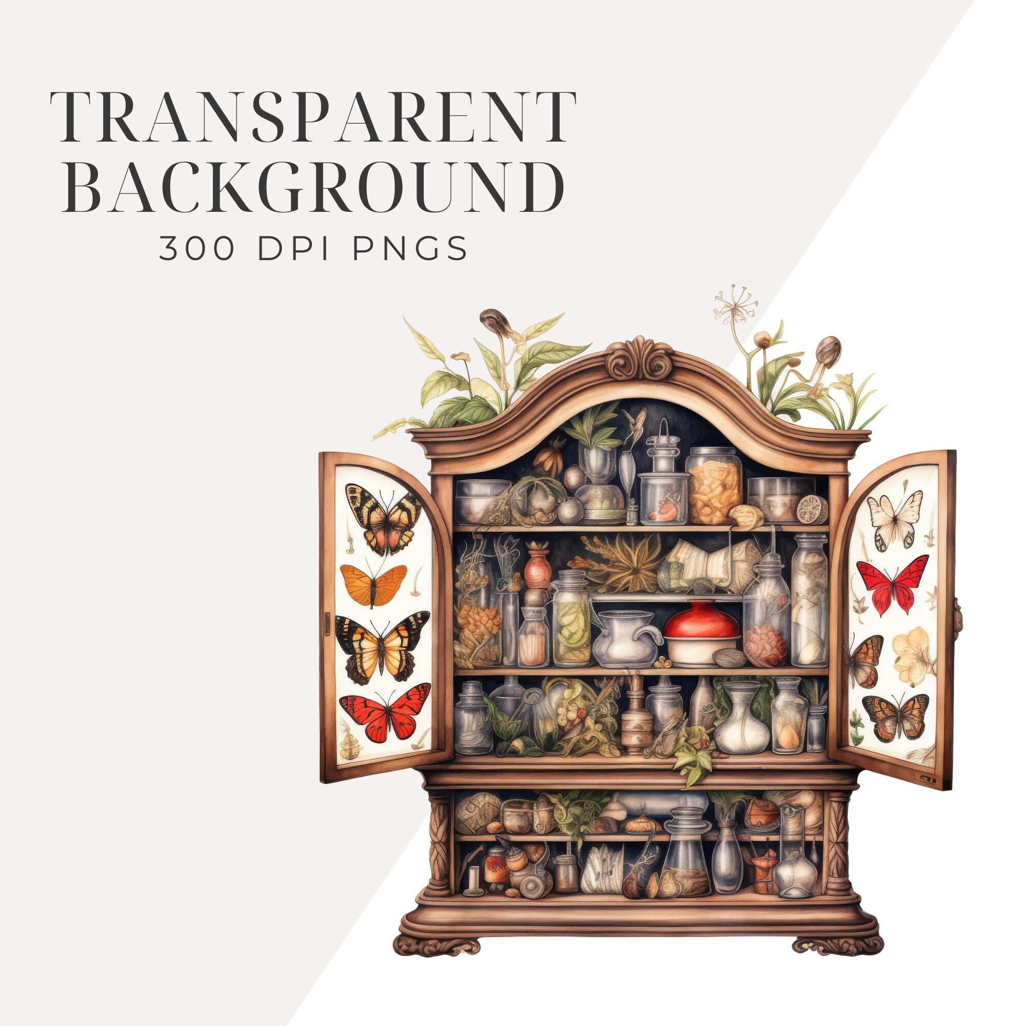 Cabinet of Curiosities Clipart Pack INSTANT DOWNLOAD Vintage Oddities ...