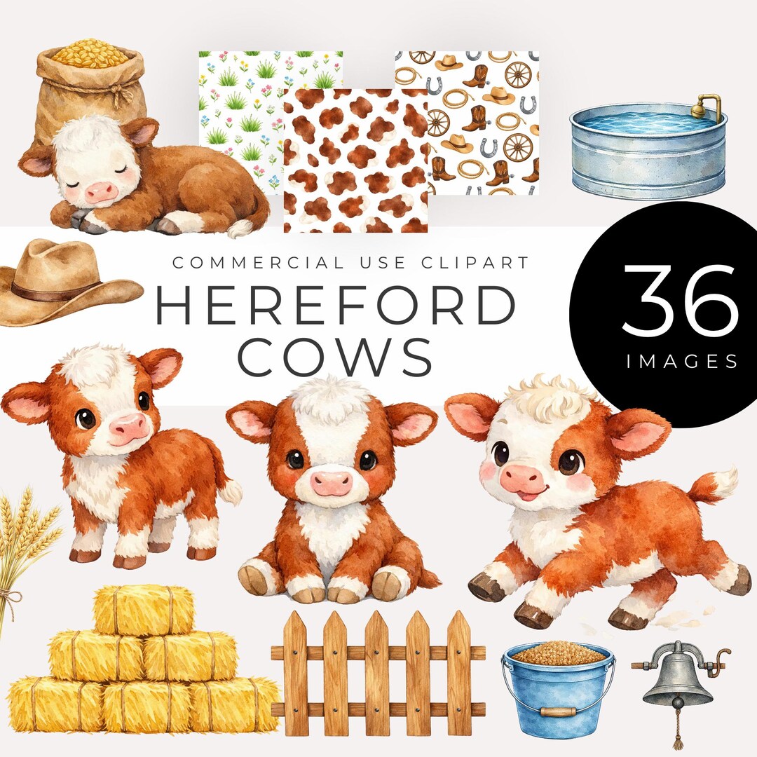 Hereford Cow Clipart, Farm Animal Watercolor Graphics, Western Ranch ...