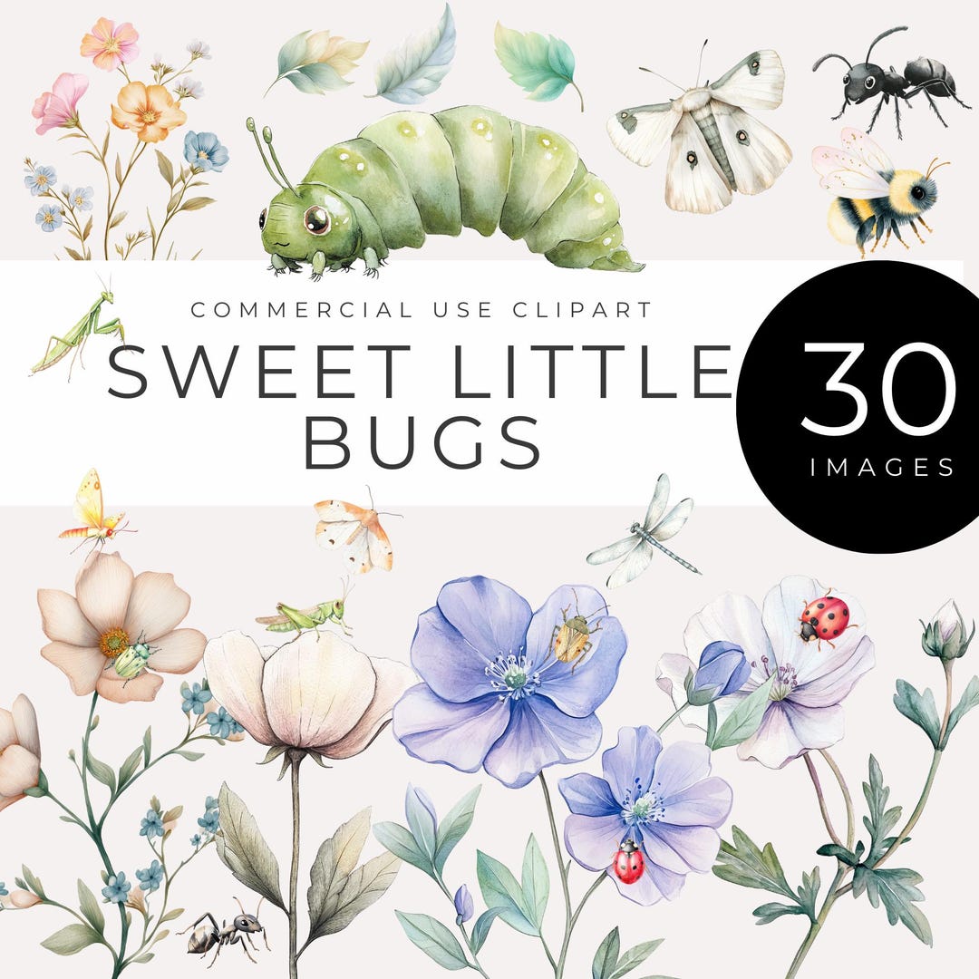 Sweet Bug Clipart, Watercolor Insects and Garden Insect PNG, Cute ...