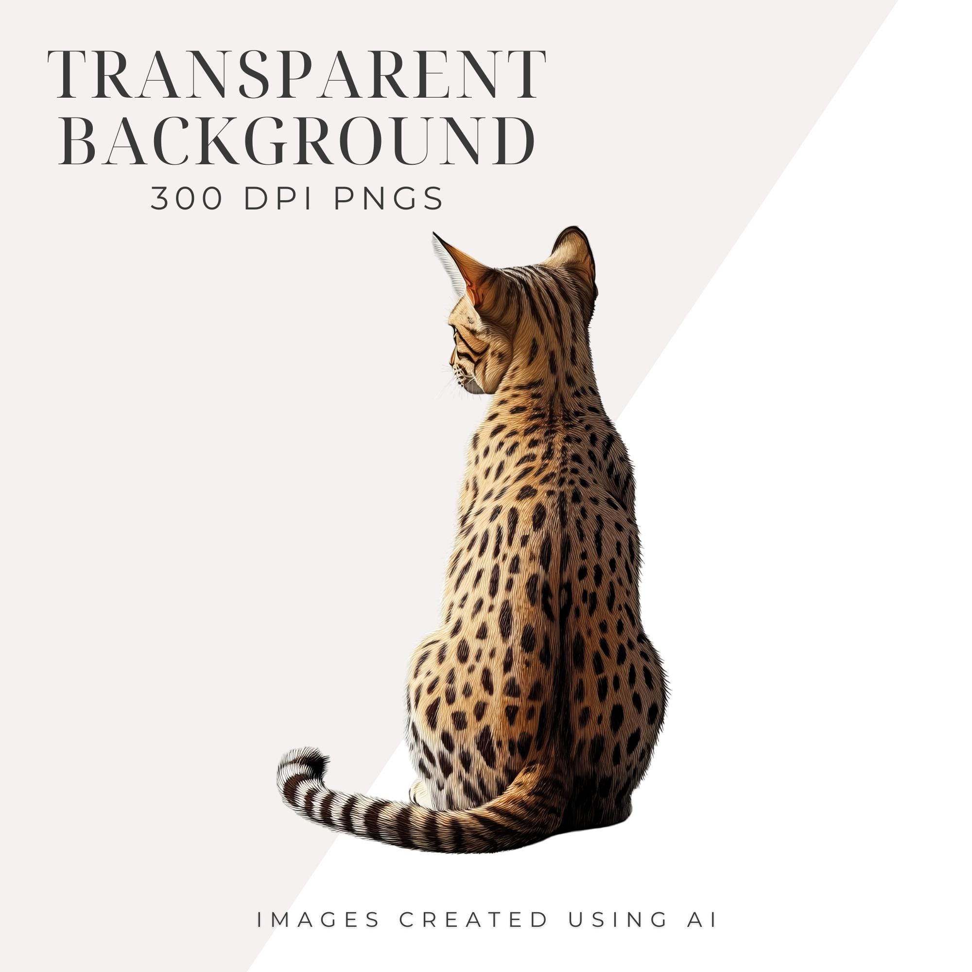 Cat Clipart From Back, Instant Download, Feline Breed Back View ...