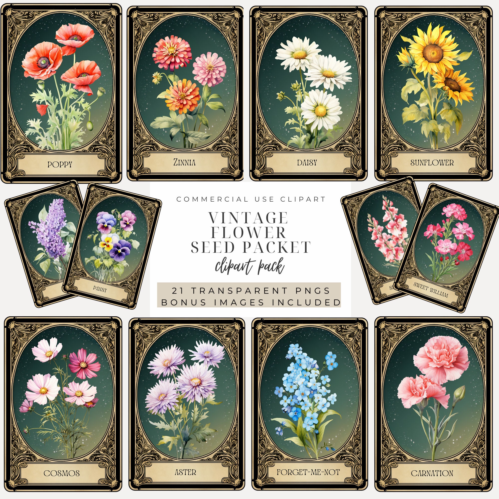 Seed Packet Clipart INSTANT DOWNLOAD Vintage Flower Illustrations ...