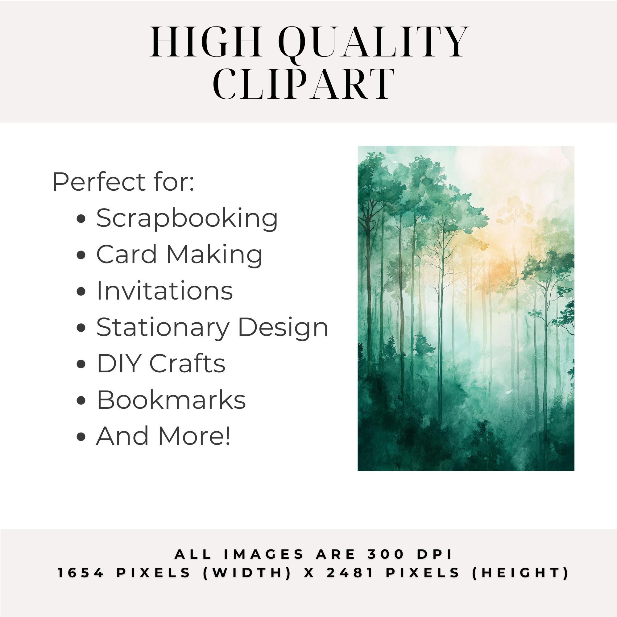 Watercolor Forest Backgrounds INSTANT DOWNLOAD Misty Woodland Digital ...