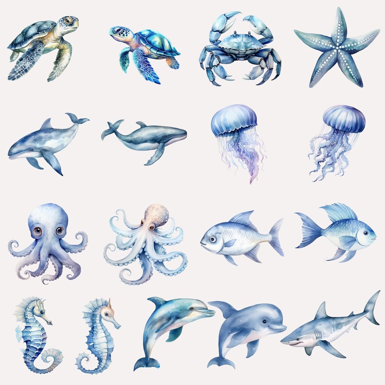 Watercolor Whale Clipart INSTANT DOWNLOAD Under the Sea, Ocean Animal ...