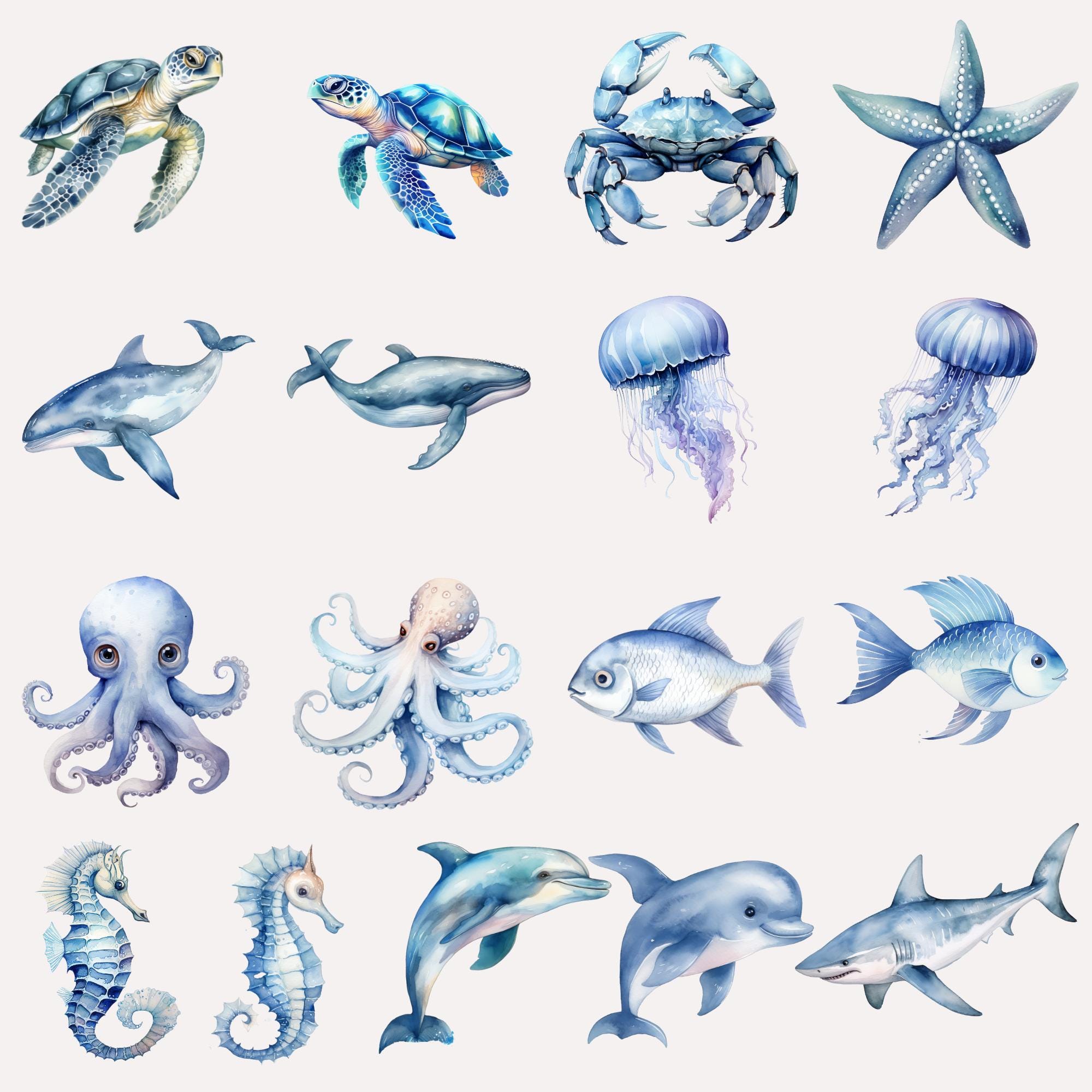 Watercolor Whale Clipart INSTANT DOWNLOAD Under the Sea, Ocean Animal ...