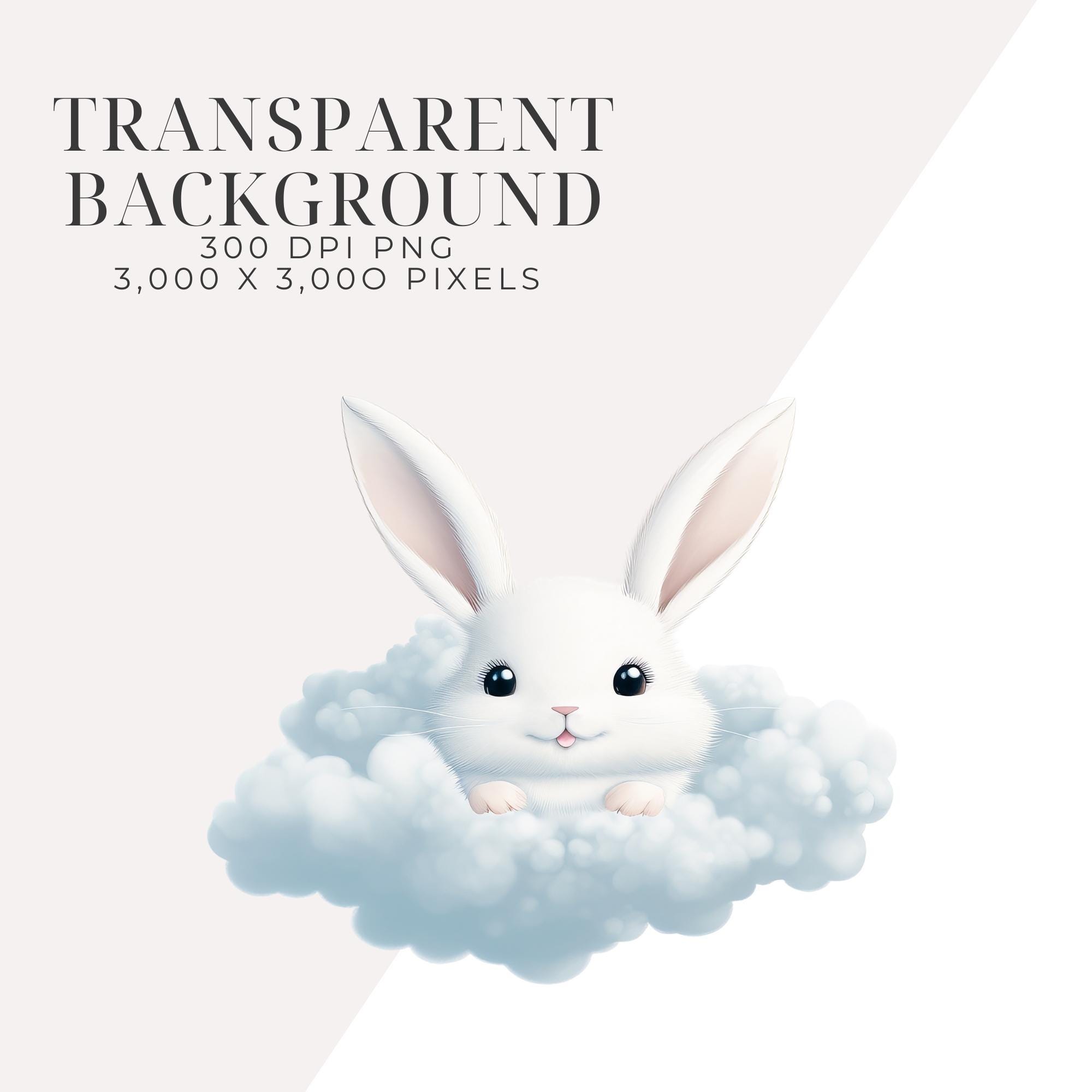 Rabbit in Cloud Clipart INSTANT DOWNLOAD Cute Baby Animal Graphic ...