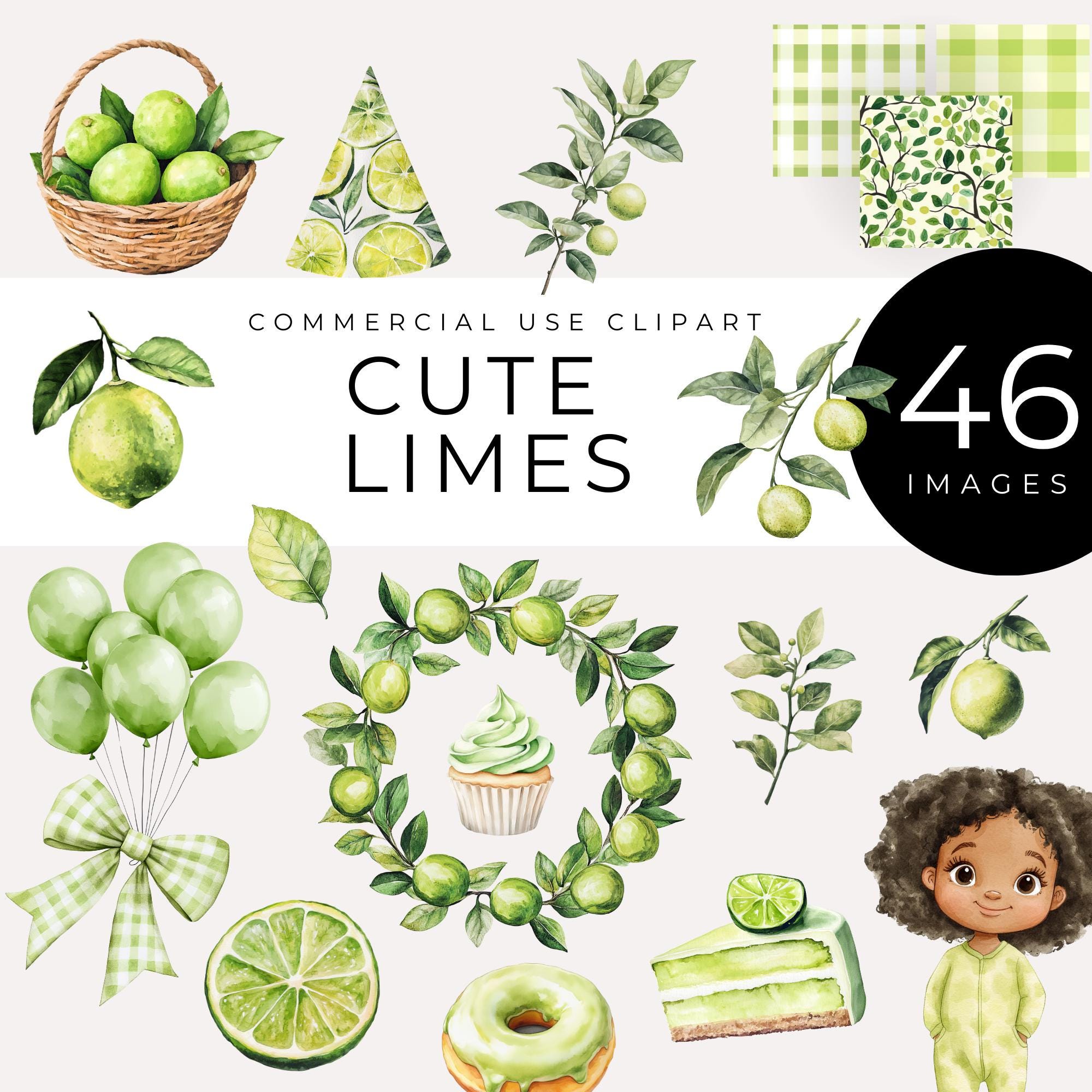Cute Lime Clipart, Instant Download, Watercolor Citrus PNG, Key Lime ...