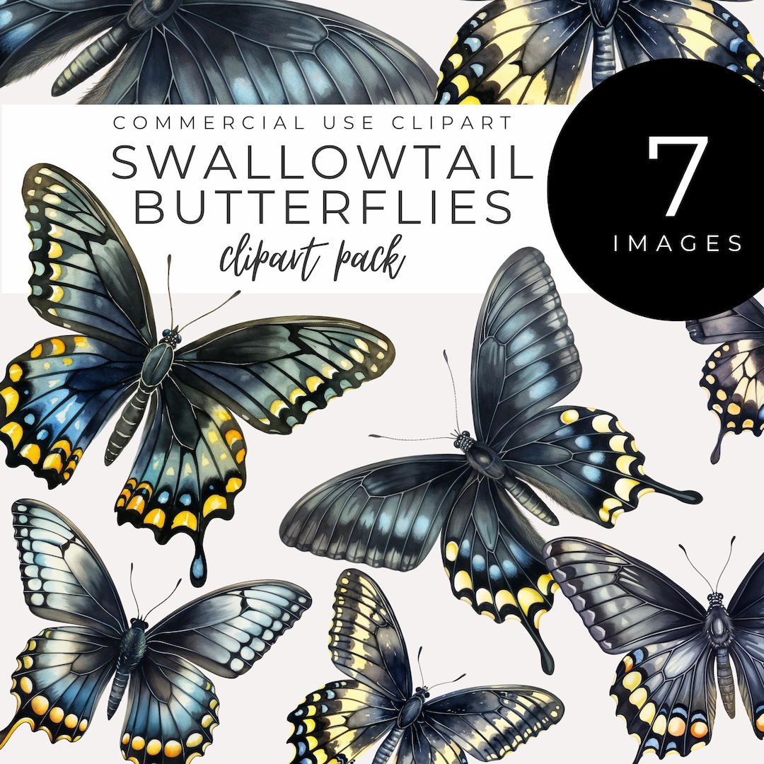 Watercolor Swallowtail Butterfly Clipart INSTANT DOWNLOAD Elegant ...