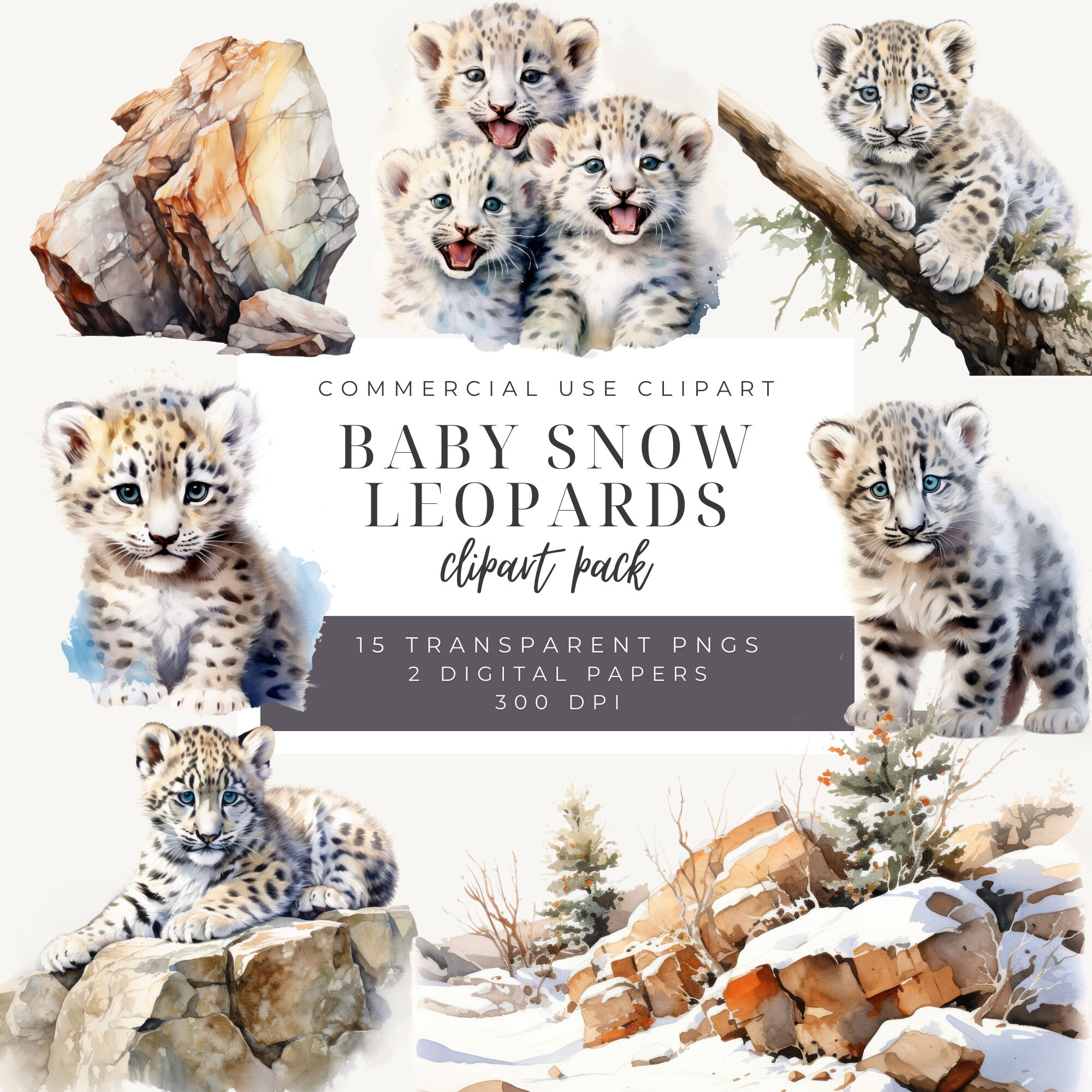 Watercolor Snow Leopard Clipart Pack INSTANT DOWNLOAD, Cute Baby Snow ...