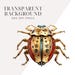 Steampunk Mechanical Insects Clipart INSTANT DOWNLOAD Metal Ladybugs ...