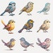 Musical Bird Clipart INSTANT DOWNLOAD Whimsical Songbird Illustrations ...