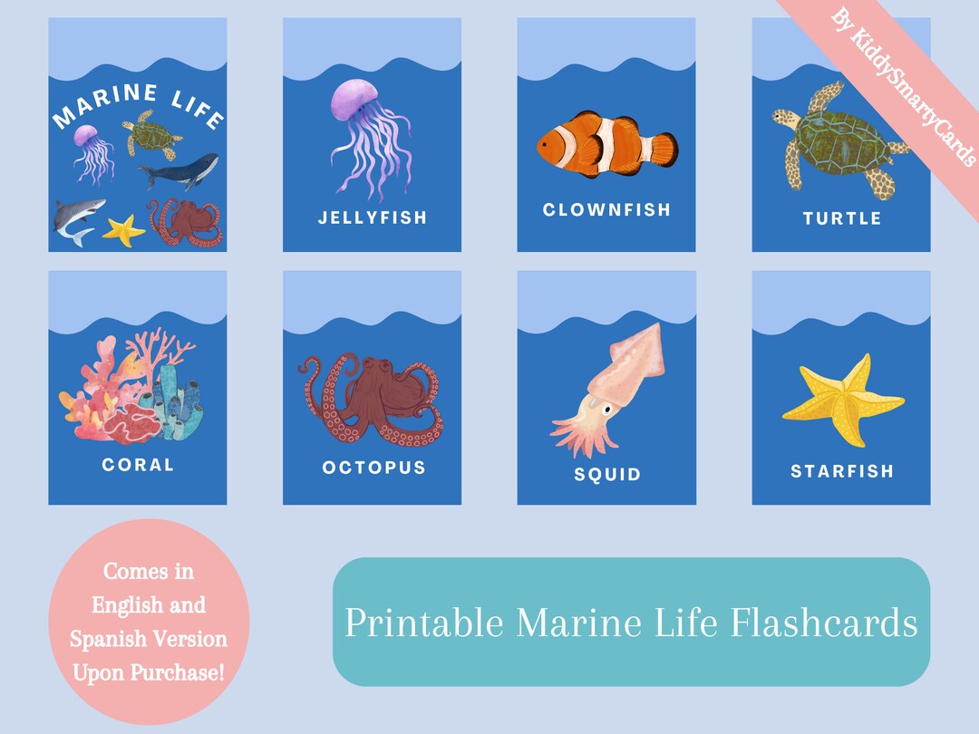 20 Marine Life Bilingual Flashcards, Pre-school Cards, Printable Kids ...