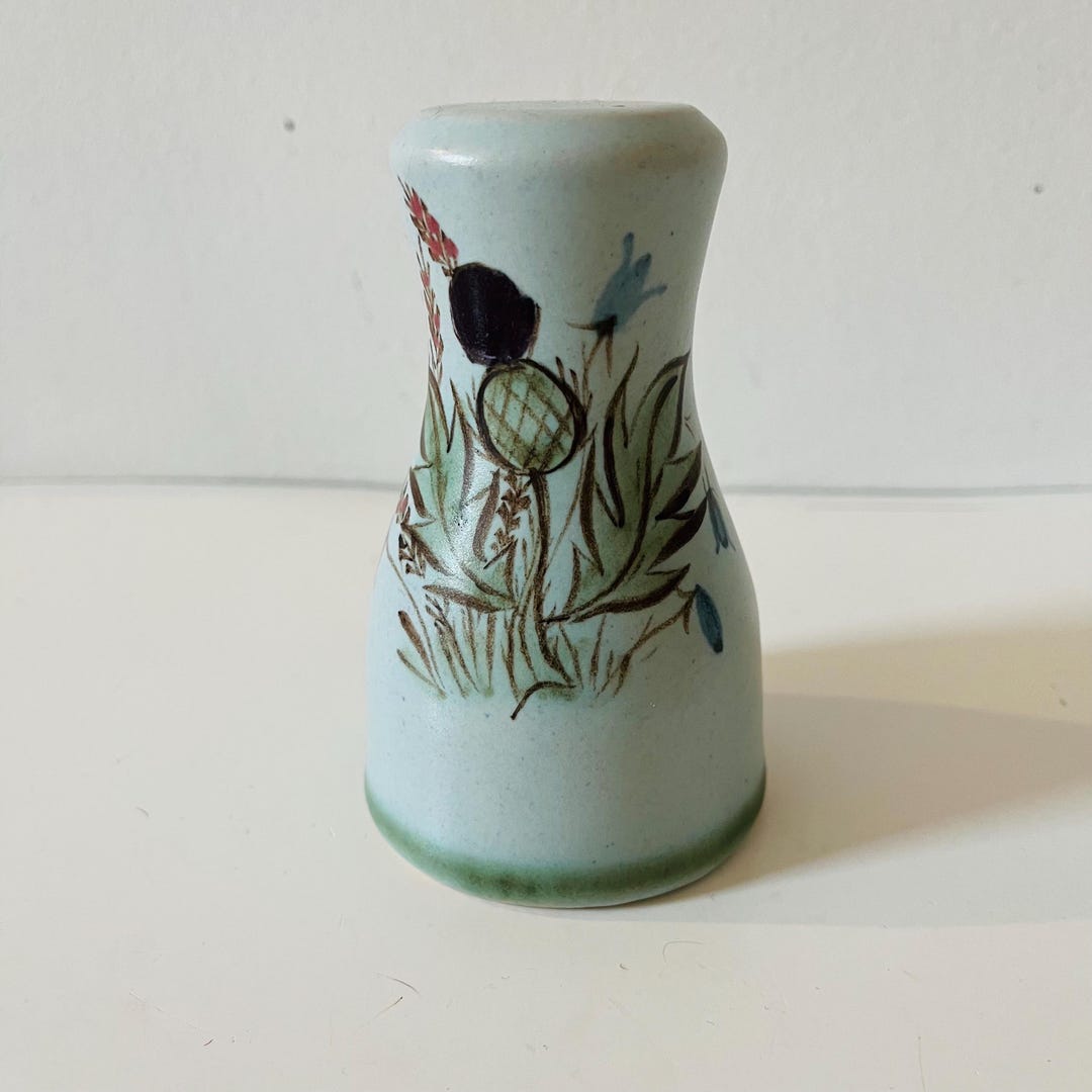 Vintage Ceramic Hand Painted Salt Shaker Cruet by Buchan Scotland ...